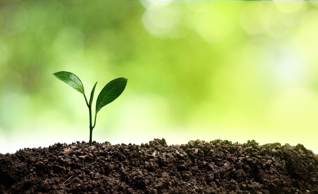 MAXIMIZING GROWTH AND EXPANSION: A SIMPLE GUIDE TO AG FINANCING ...