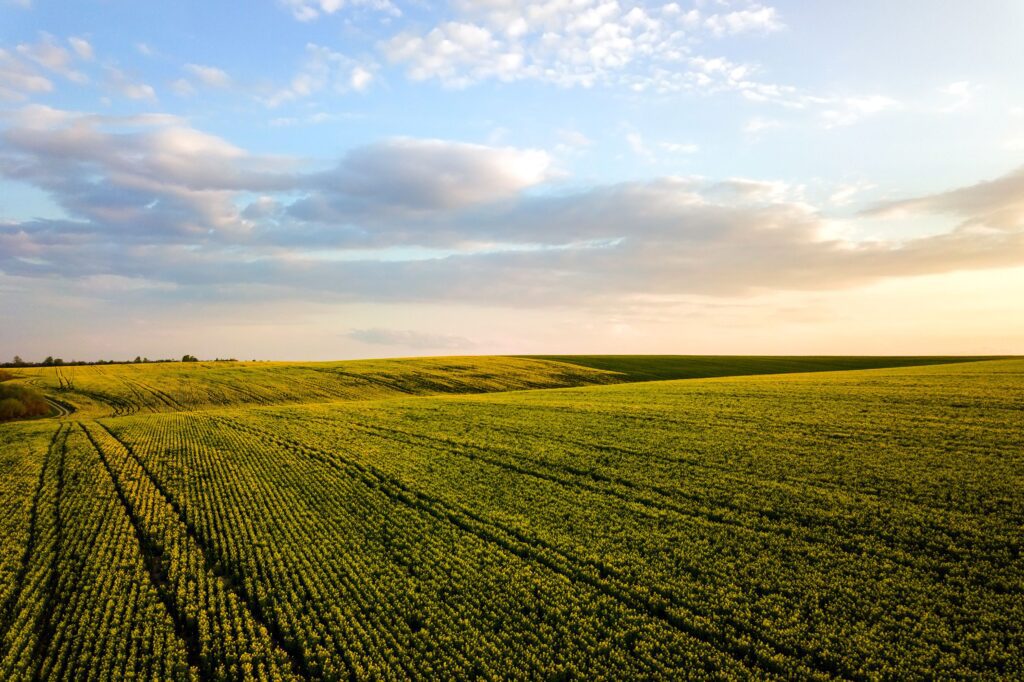 TOP REASONS WHY YOU NEED A LAND APPRAISAL - Conterra Ag Capital
