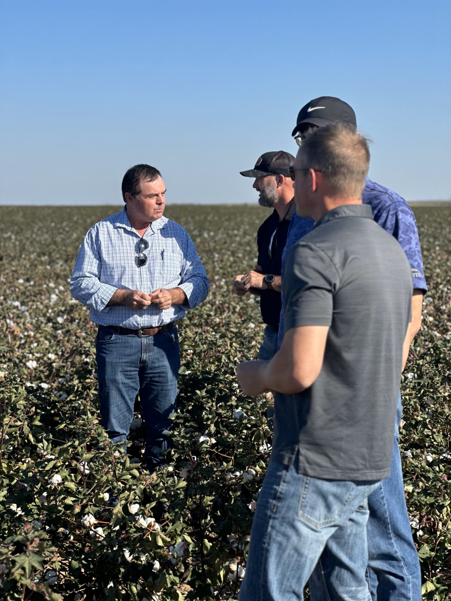 Expert Farm Loan Guidance for Farmers: The Role of Relationship ...